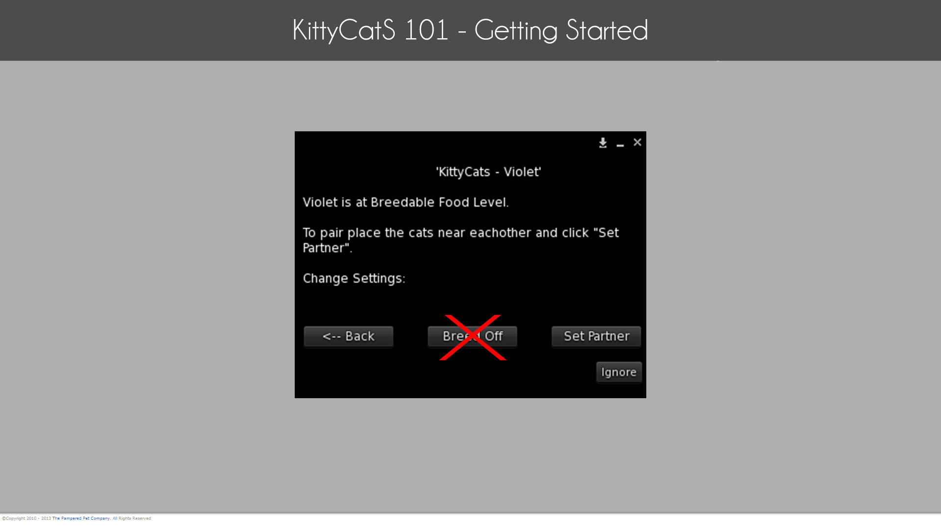 Getting Started With KittyCatS